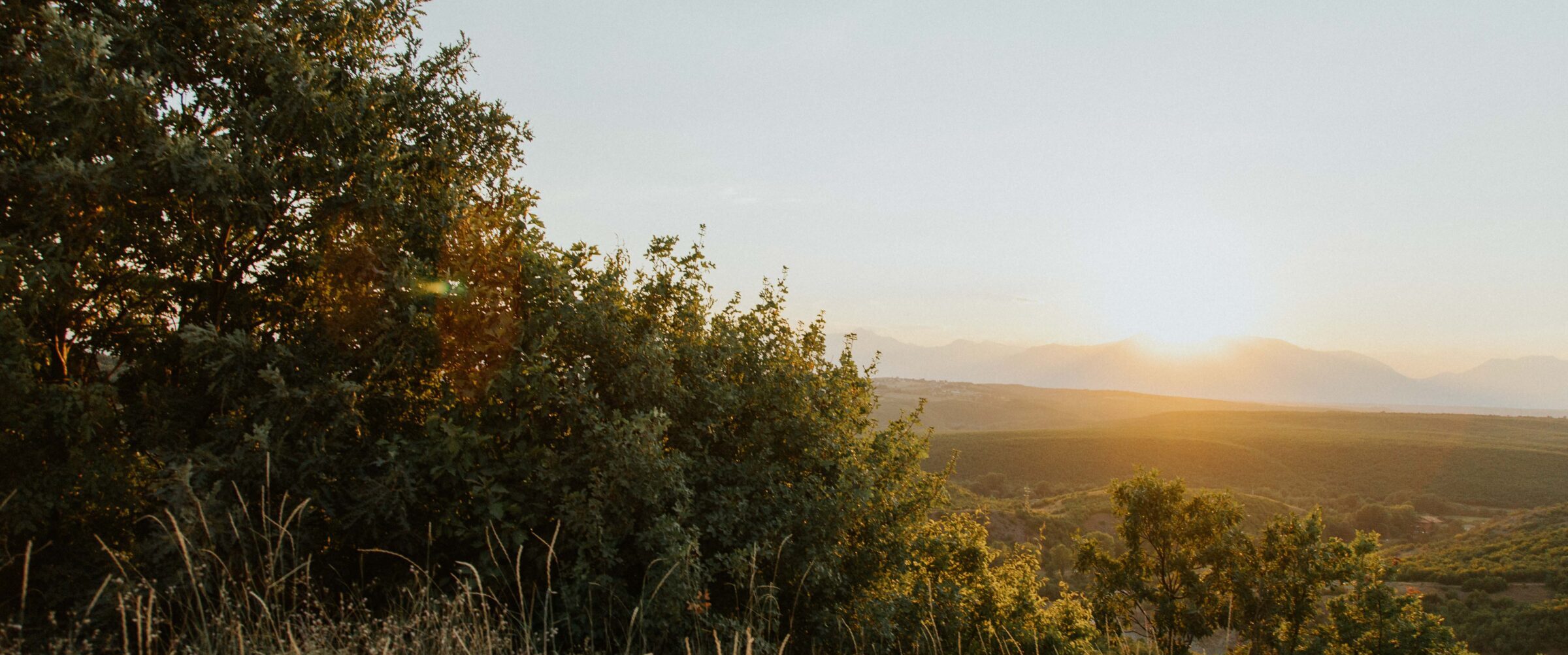 Contact - Stichting Chaim